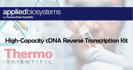 金萬林企業股份有限公司 KIM FOREST ENTERPRISE CO., LTD