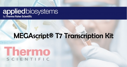 金萬林企業股份有限公司 KIM FOREST ENTERPRISE CO., LTD